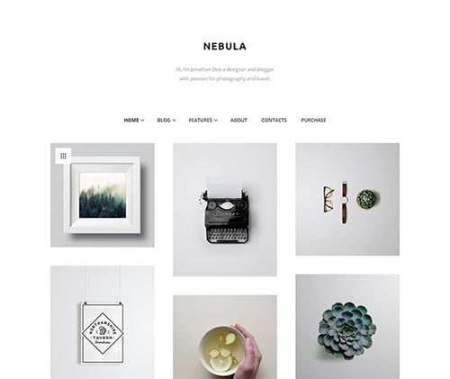 15+ Grid Based Portfolio WordPress Themes - DzineWatch