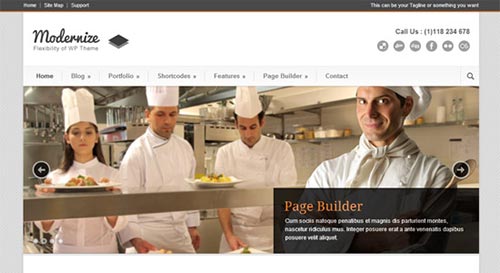 Most Popular WordPress Themes - DzineWatch
