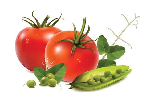 35 Awesome Free Food Vector Collection - DzineWatch